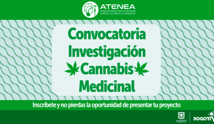 Distrito Destina 800 Millones Para Financiar Proyectos De Cannabis
